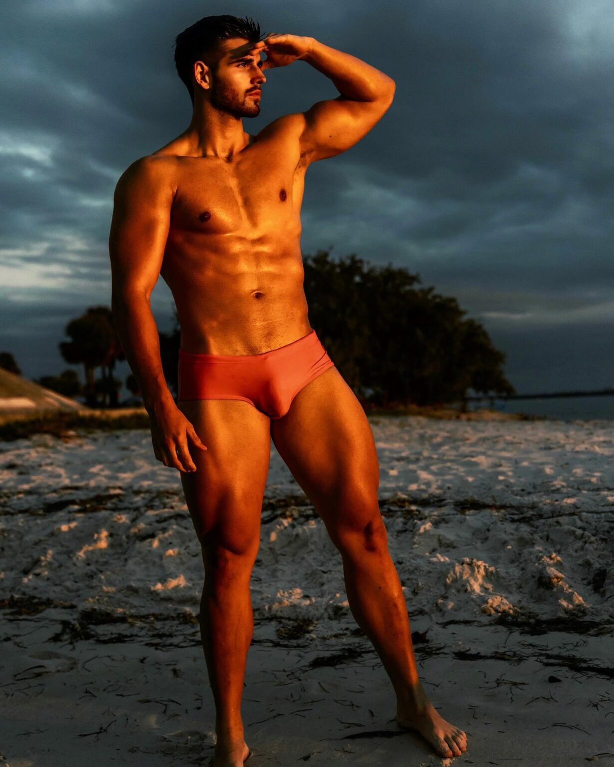 Bryce Chapman Shirtless Celebs
